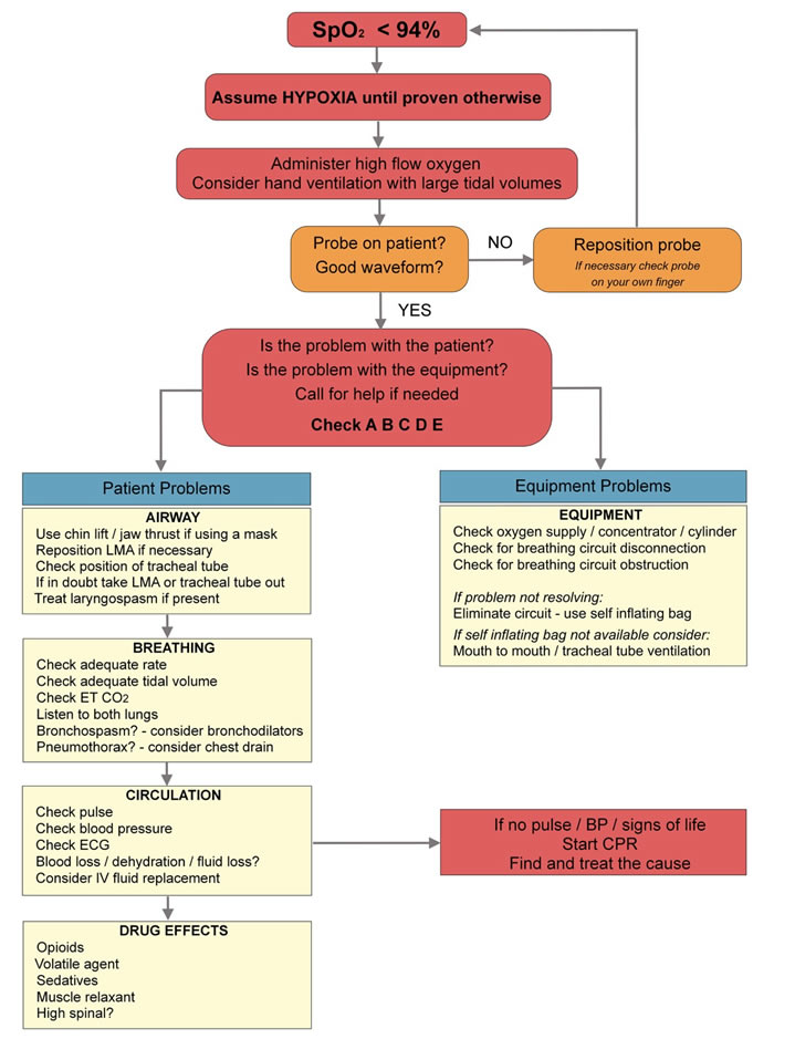 Study the hypoxia action plan for a few minutes.